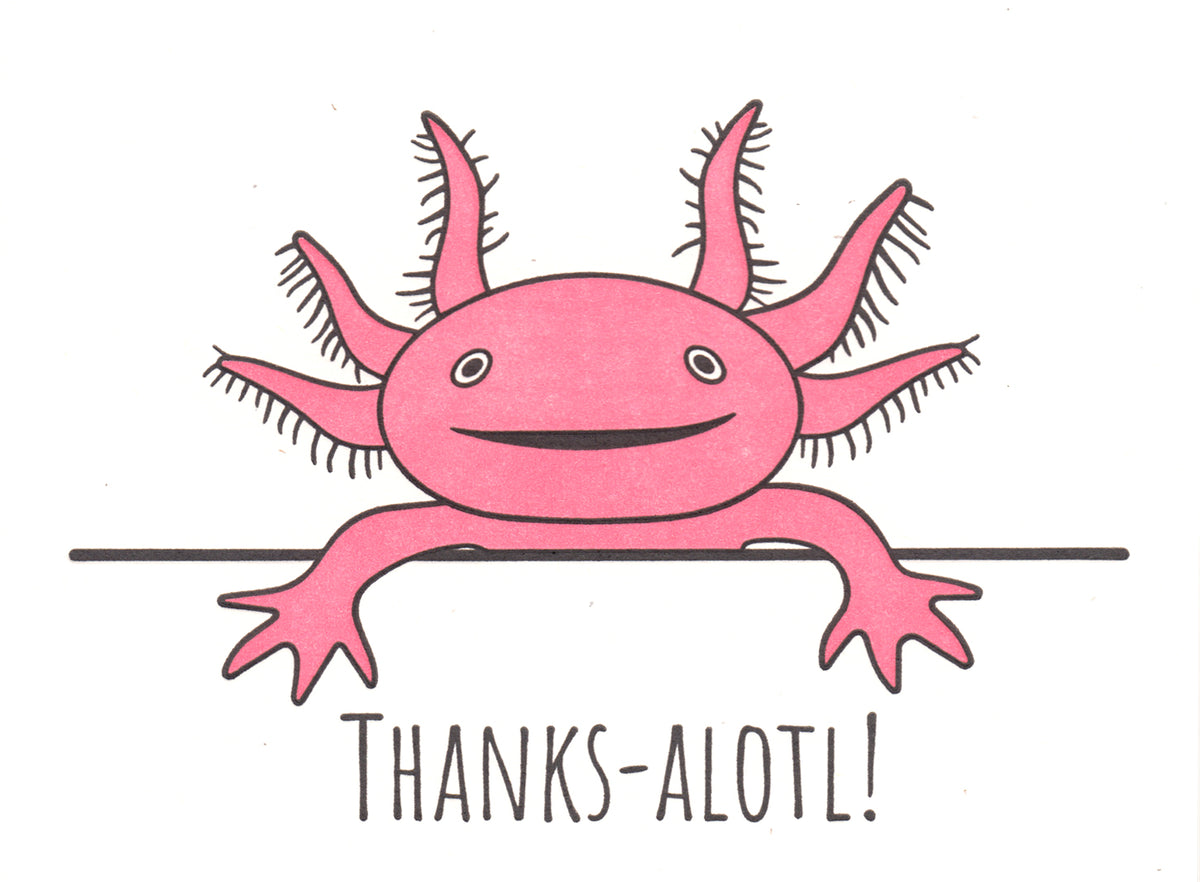 Axolotl Thanks Box Set – LadyPilotLetterpress